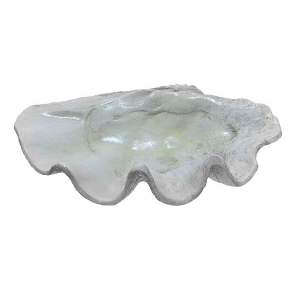 Giant Resin Clam – Dorset Gifts – Nautical gift shop on Poole Quay ...